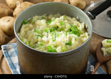 Champ potatoes Irish potato dish Stock Photo - Alamy