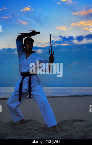 karate on sunset beach Stock Photo - Alamy