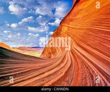 The Wave rock formation, Vermillion Cliffs National Monument, Arizona ...