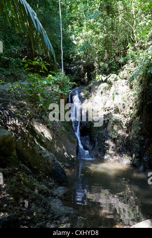 Tropical waterfall in the forest,Ton Chong Fa in khao lak Phangnga ...