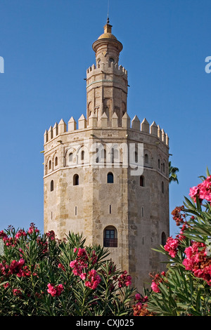Sevilla, Andalusia, Spain, Torre del oro, golden Tower Stock Photo - Alamy