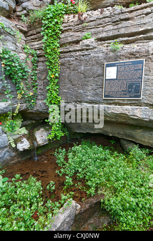 Arkansas, Eureka Springs, Harding Spring, named for 19th century ...