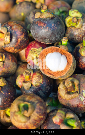 Sweet tropical exotic juicy mangosteen fruit Stock Photo - Alamy