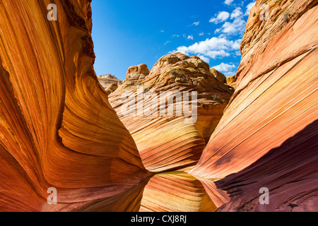 The Wave sandstone rock formation, a wave of eroded Navajo sandstone ...