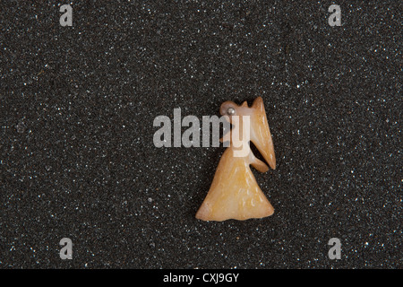 Virgo sign shaped cookie , close up Stock Photo - Alamy