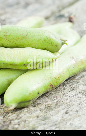 Broad Beans, Fava Beans or Horsebeans Stock Photo - Alamy