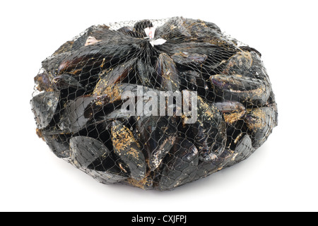 basket with fresh mussels over white background Stock Photo - Alamy