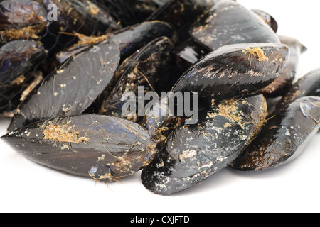 basket with fresh mussels over white background Stock Photo - Alamy