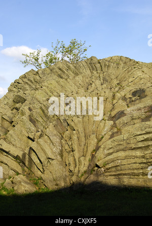Geotope palm leaf, fan-shaped basalt formation on Hirtstein Mountain ...