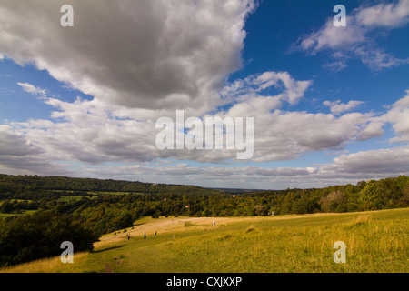 Panorama of Box Hill in Surrey, UK on a sunny Spring day Stock Photo ...