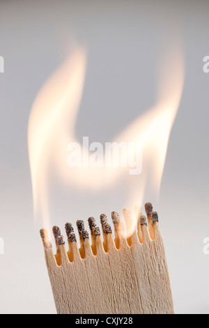 Lit match, gray background Stock Photo - Alamy