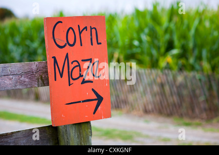 Corn maze with directional sign Stock Photo - Alamy