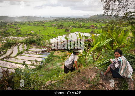 Women working on rice fields in the lowlands between Hanoi and the ...