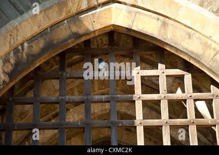 Portcullis and main gate drawbridge entrance to Caerphilly Castle Wales ...