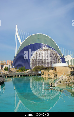 The Oceanographic aquarium in Valencia Stock Photo - Alamy