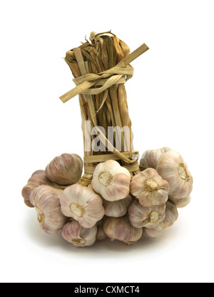 Cooking the lobe Stock Photo - Alamy