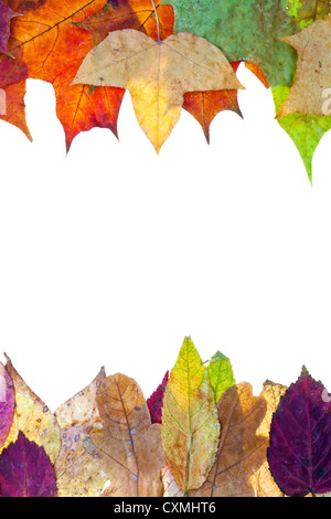 two side frame from multicolored autumn leaves isolated on white ...