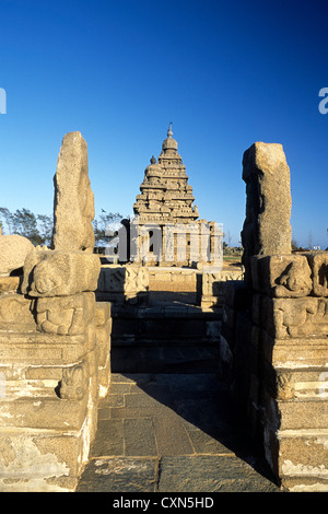Monolithic temples of the Shore Temple near Mahabalipuram in the Tamil ...