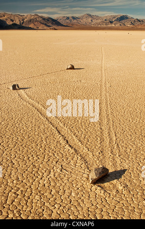 Moving rocks at The Racetrack dry lake, Mojave Desert in Death Valley ...