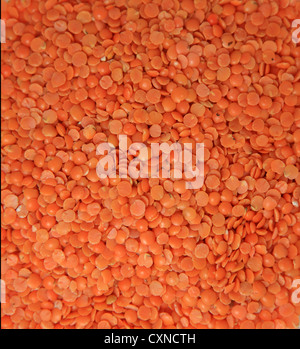 Split Red Lentils are lentils, Lens culinaris, without husks and ...