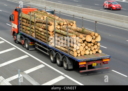 Articulated lorry with a load of logs timber transport, Scotland UK ...