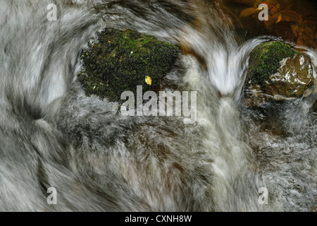The River Devon rushes through the gorge at Rumbling Bridge near ...