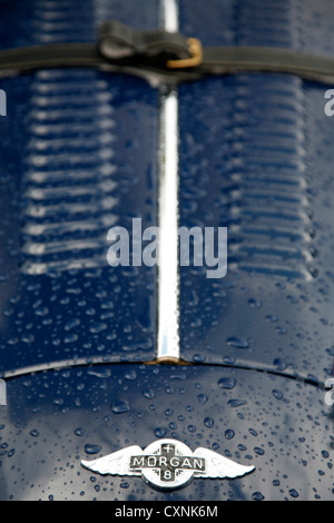 Close up of a classic Morgan car bonnet badge. 2025 Stock Photo - Alamy