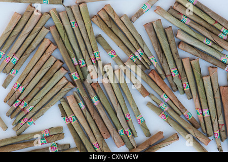Indian Beedies / Beedi / Cigarettes on white background Stock Photo - Alamy