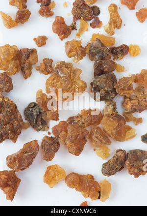 myrrh (Commiphora myrrha), fragrant resin. gum resin Stock Photo - Alamy