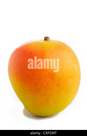 A mango on a white background Stock Photo - Alamy