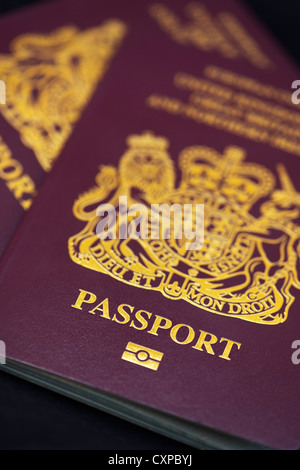 UK biometric passport Border Immigration Control queue for arriving ...