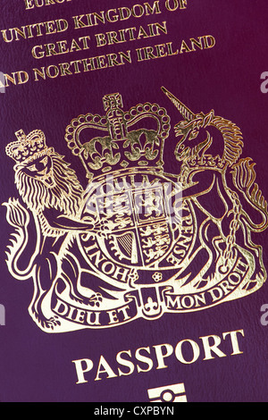 UK biometric passport Border Immigration Control queue for arriving Stock Photo: 56313695 - Alamy