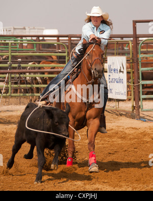 USA, Idaho, Bruneau Rodeo, Calf roper and horse participating in calf ...