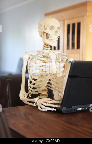 Skeleton Using a Computer Stock Photo - Alamy