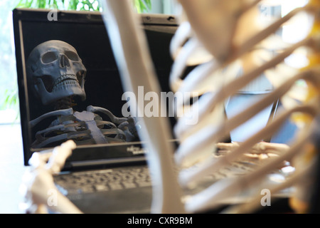 Skeleton Using a Computer Stock Photo - Alamy