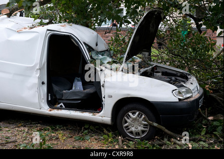 White Van Crushed by falling tree in high winds Stock Photo - Alamy
