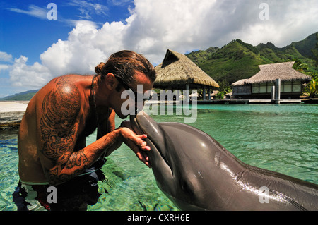 Man with a dolphin, Moorea Dolphin Center, Hotel Intercontinental ...