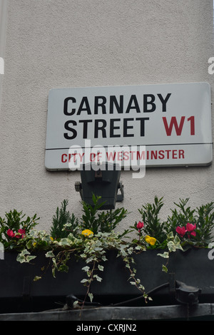 Carnaby Street, street sign. London W1 Uk England 2010, 2010s HOMER ...