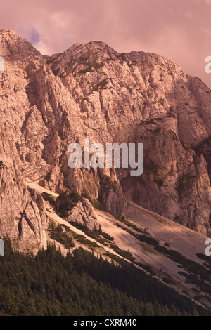 slope of mountain range with pine forest and path. collage Stock Photo ...