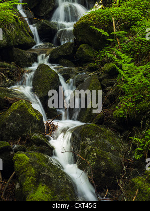 The Krimml Waterfalls in Austria. The falls are the highest in Europe ...