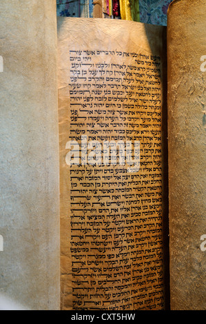 Torah scroll with Hebrew writing, Israel, Middle East Stock Photo - Alamy