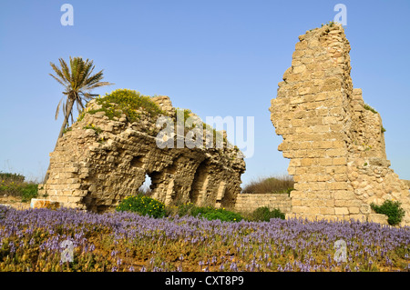 Ruin of old historic Archaeological excavations of Adulis, Zula ...