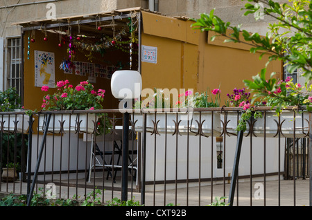 Israel Jerusalem Sukkot Jewish festival festival of booths 4 types ...