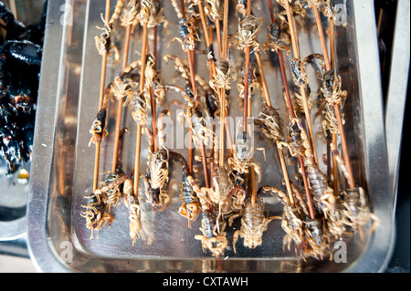 Fried insect, China local snacks Stock Photo - Alamy