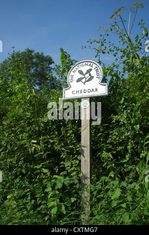 Signpost to Cheddar Gorge Stock Photo - Alamy
