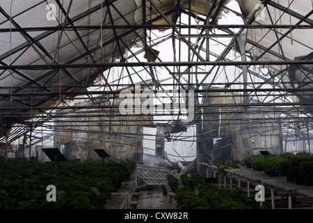 Melted plastic at a fire scene where a greenhouse burnt in a fire Stock ...