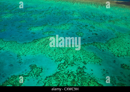 Aerial view of Arlington Reef brilliant coral formations underwater in ...