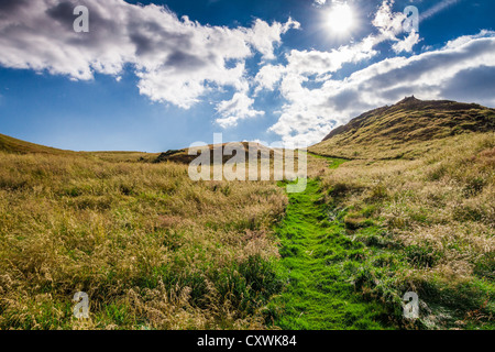 Footpath lead to the hill in Scotland Stock Photo - Alamy