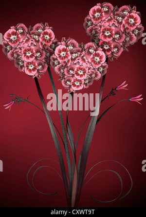 A closeup shot of blooming bright red poppies on a field Stock Photo ...