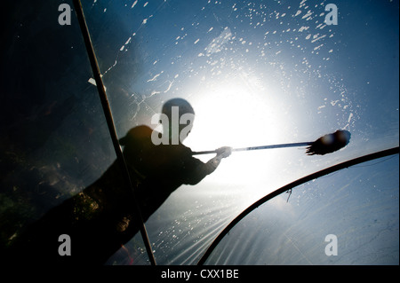 Cleaning a polytunnel Stock Photo - Alamy